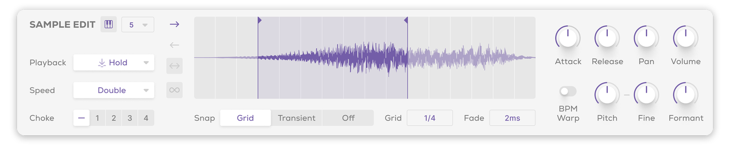 Bloom Vocal Edit — Excite Audio