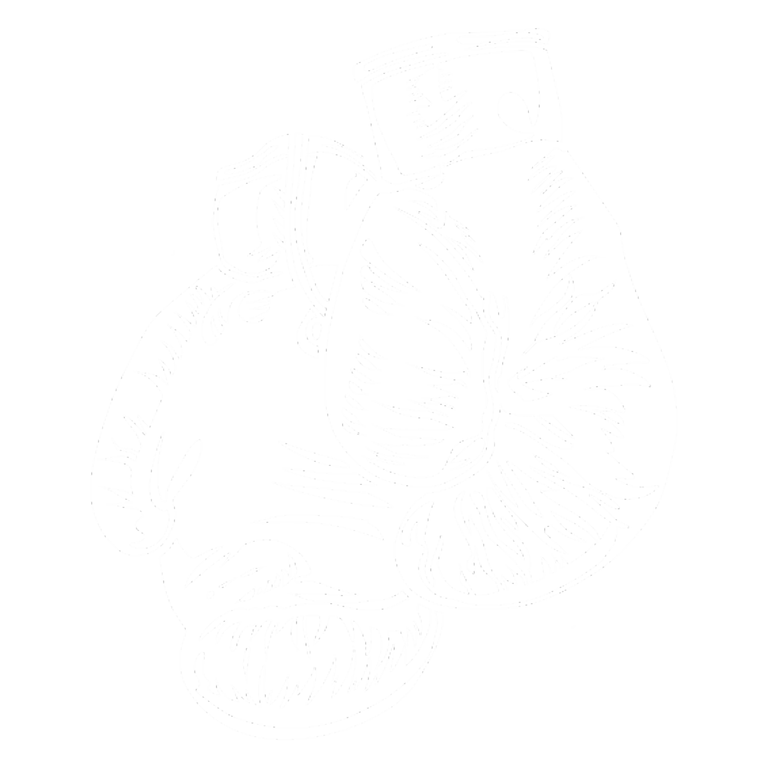Downtown Boxing Club - Panama City, Florida