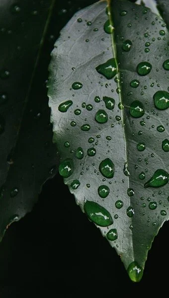 Flow State Yoga Studio Banff