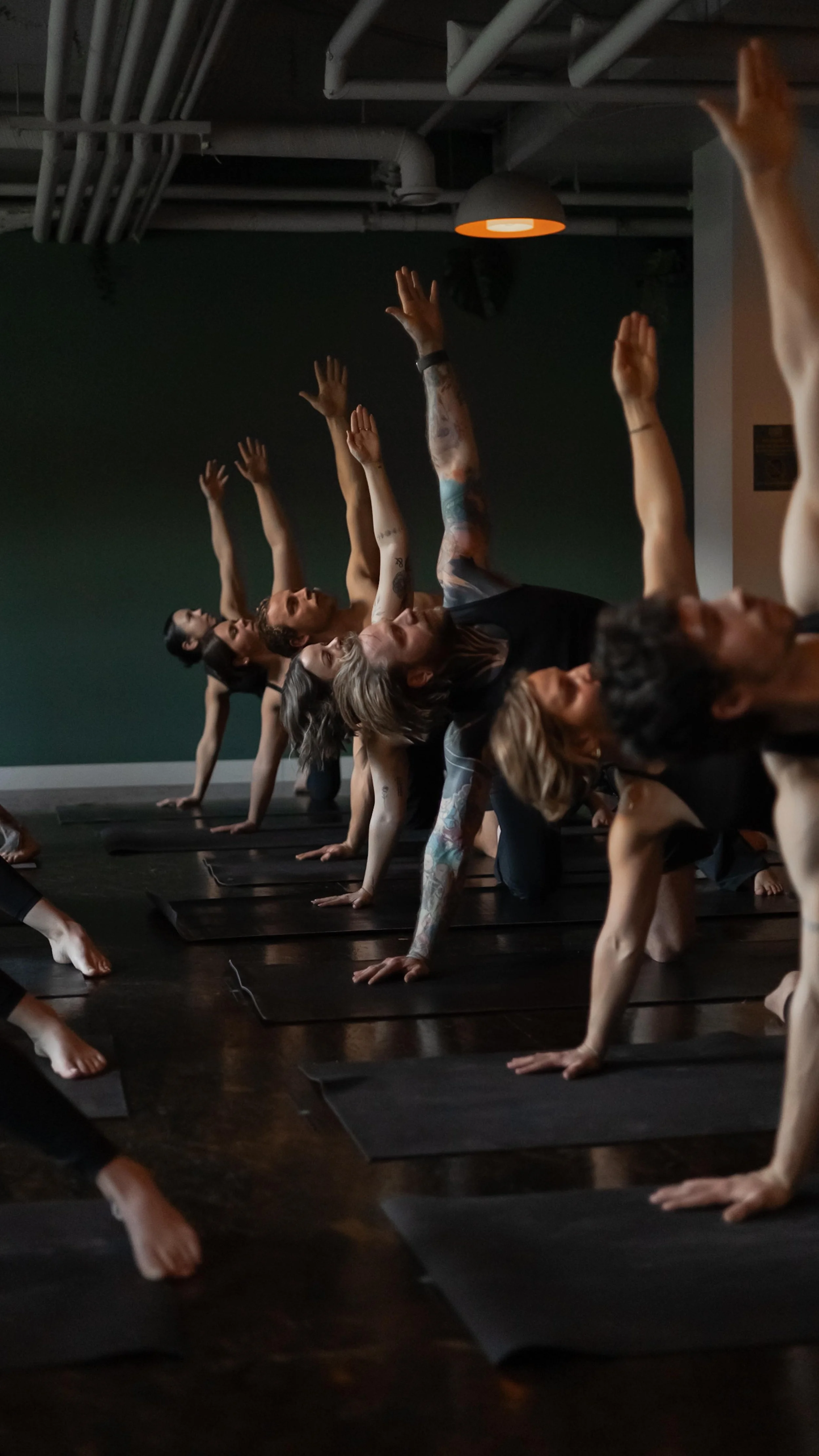 Flow State Yoga Studio Banff