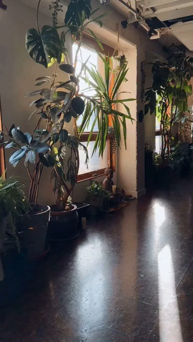 Flow State Yoga Studio Banff