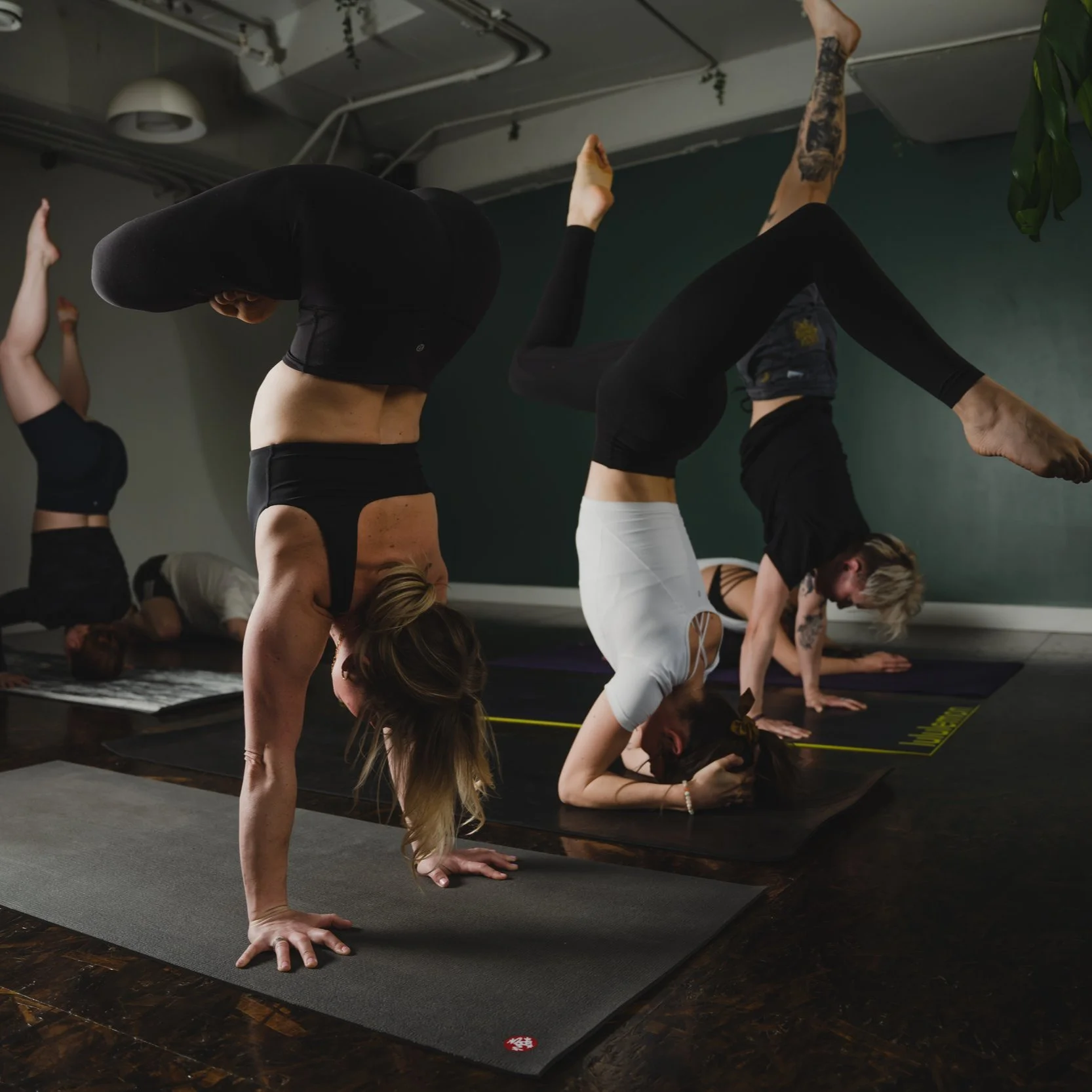Yoga Classes In Banff — Flow State Yoga Studio Banff