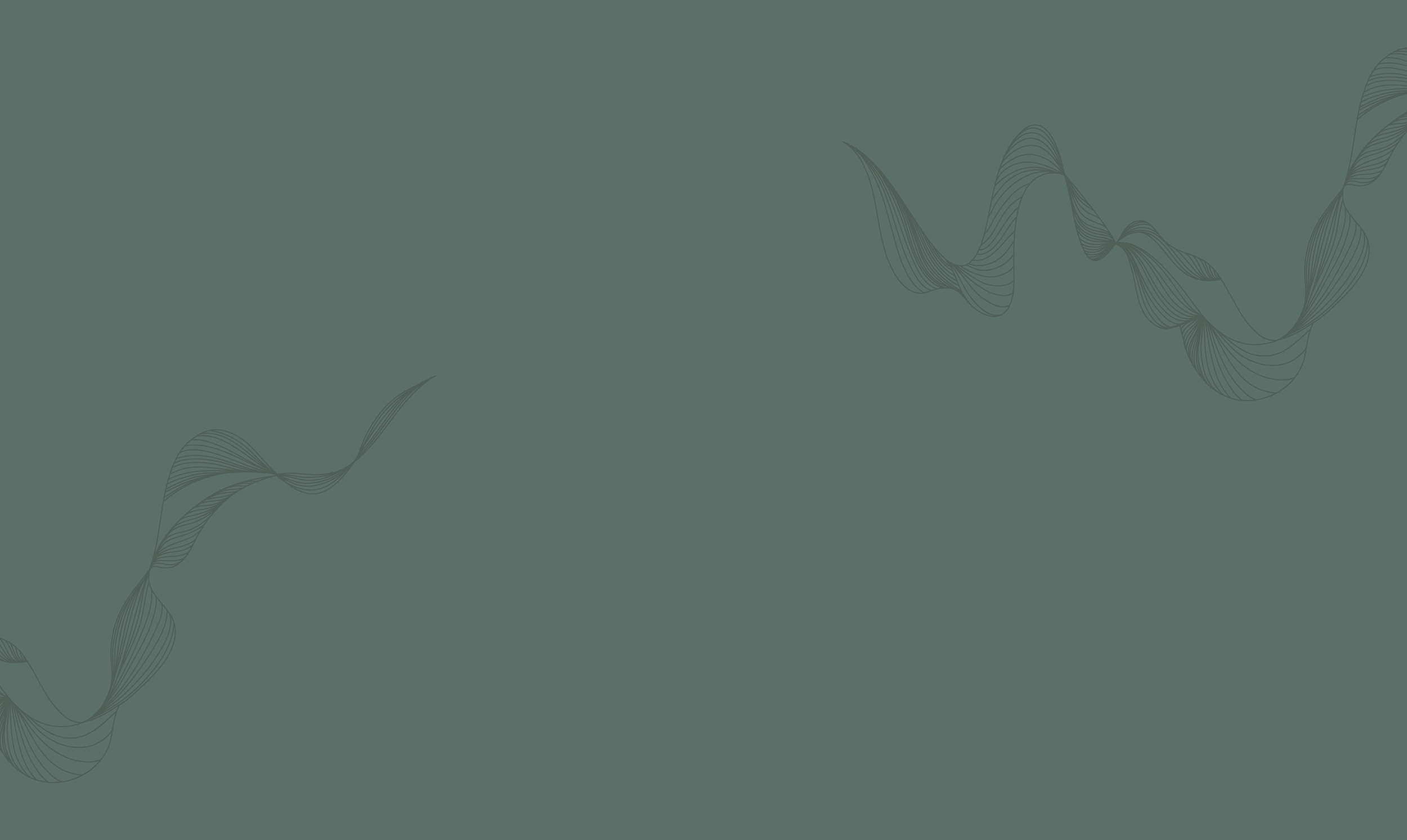 Flow State Yoga Studio Banff