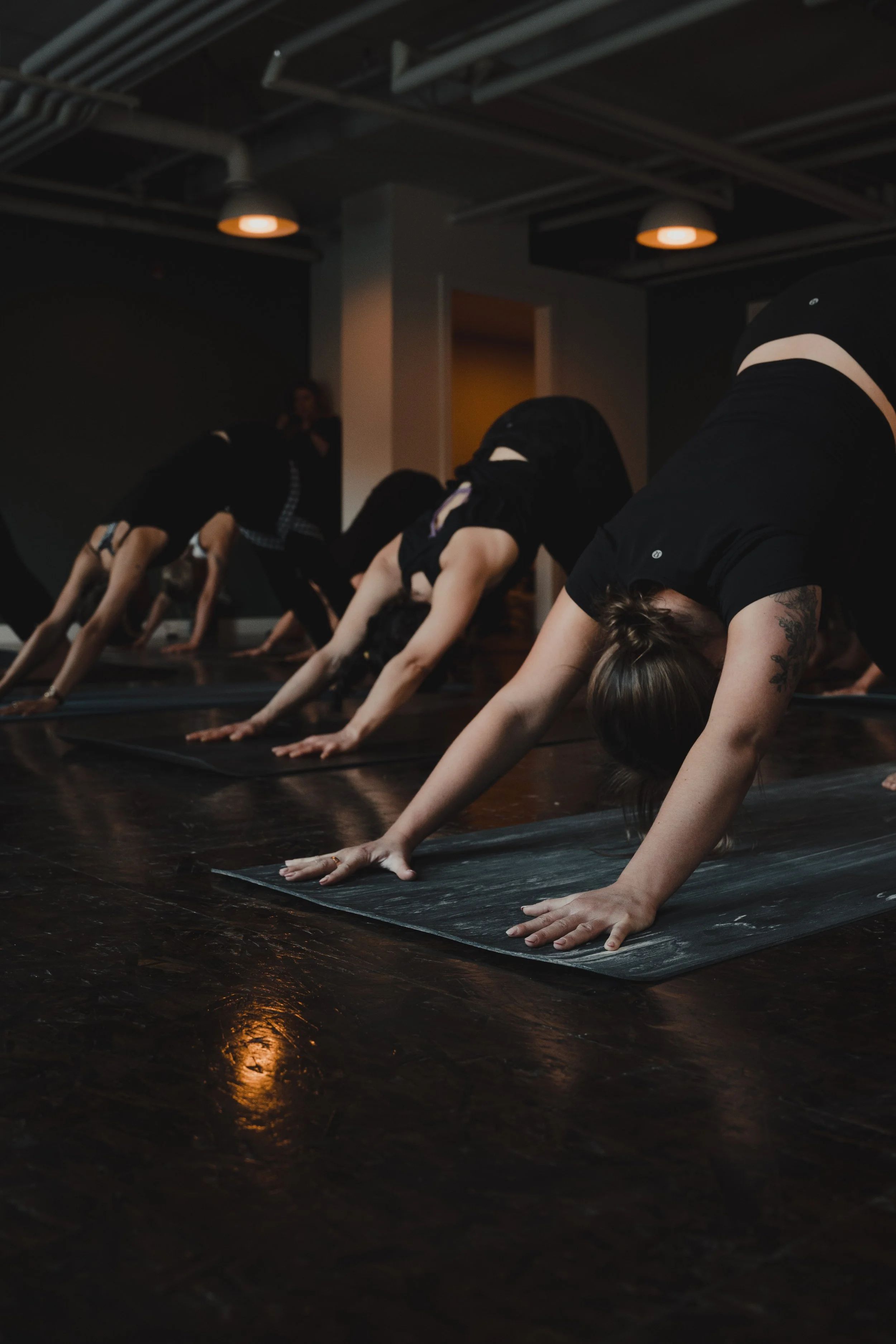 Yoga Classes In Banff — Flow State Yoga Studio Banff