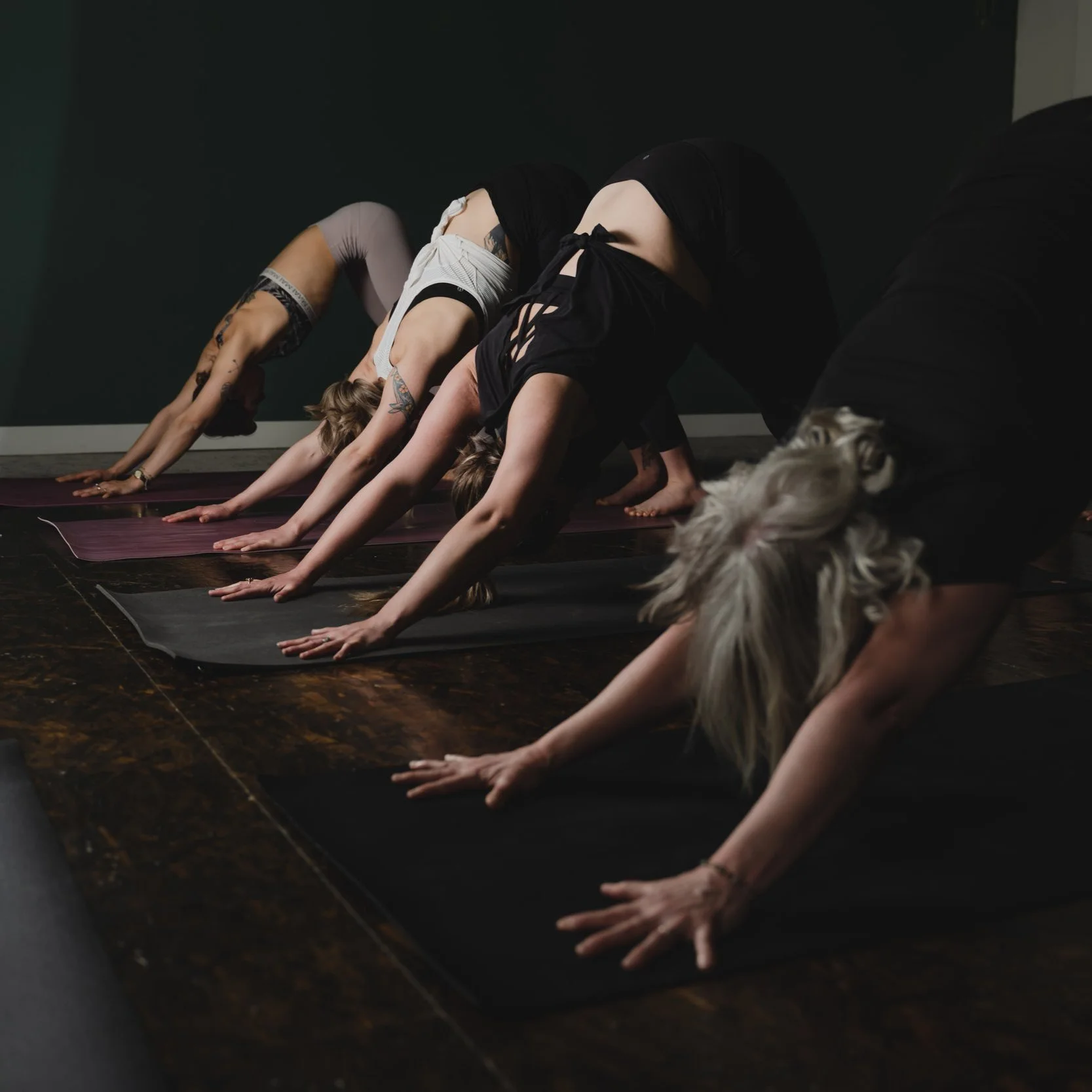 Yoga Classes In Banff — Flow State Yoga Studio Banff
