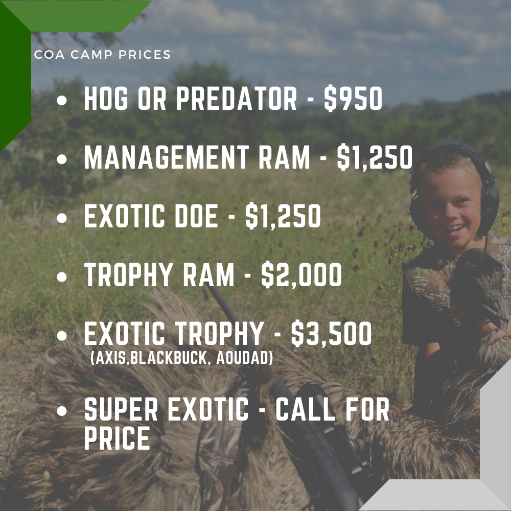 Summer Camps — Christian Outdoor Alliance