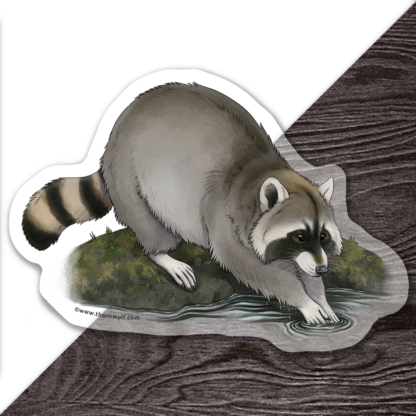 Washing Raccoon Clear Vinyl Decal — Thornwolf Creative Services