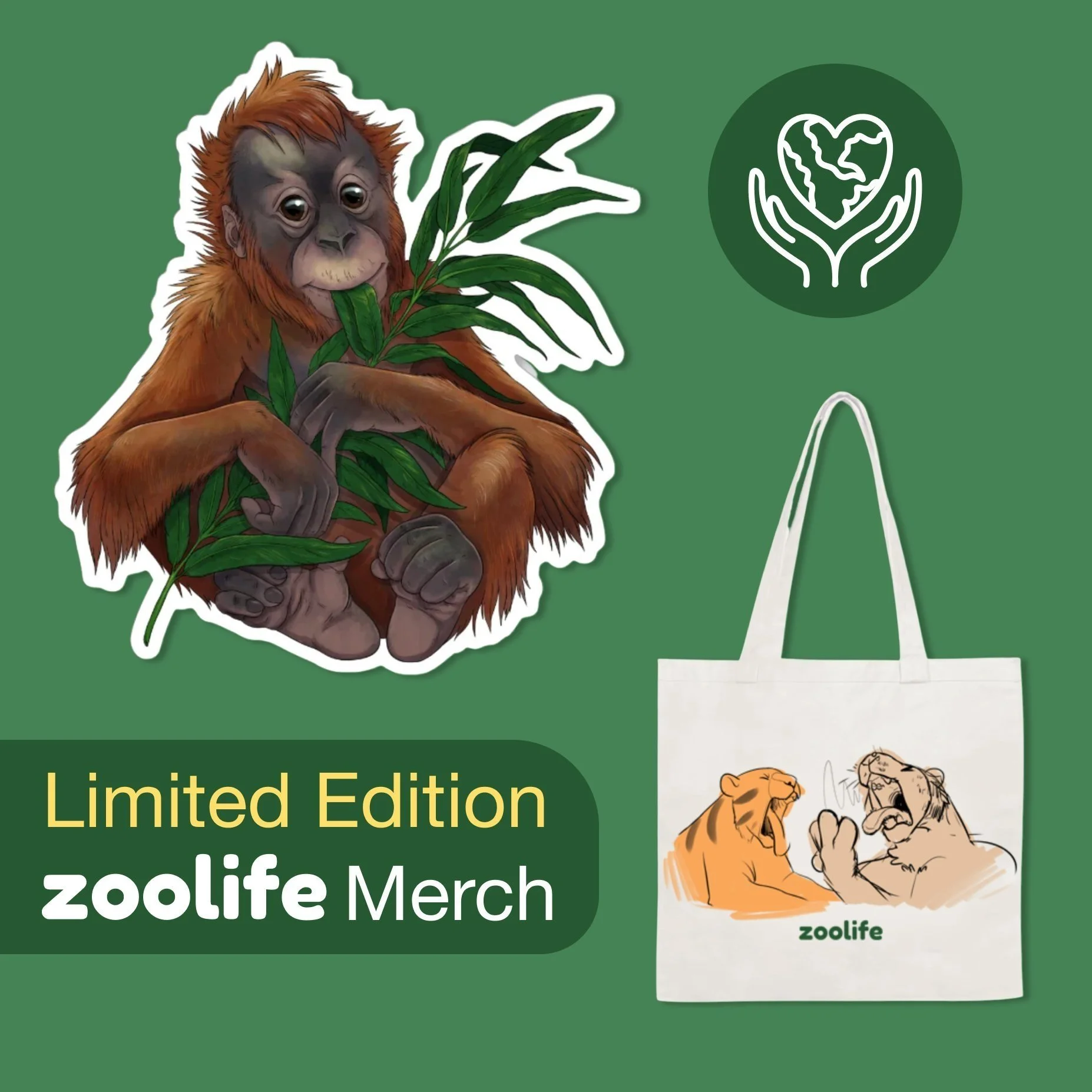 Collaboration with zoolife: Wali the Sumatran Orangutan — Thornwolf ...