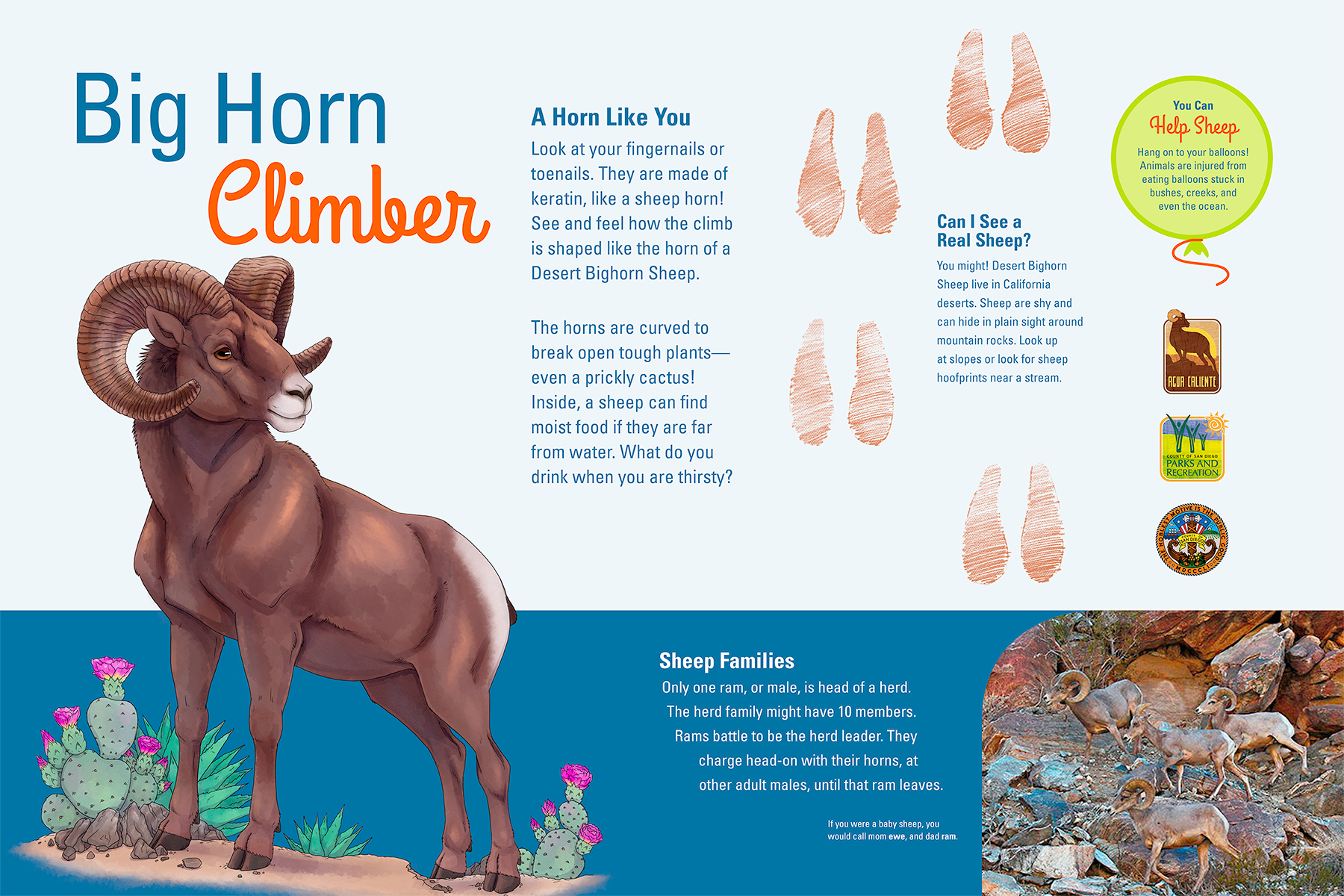 Wildlife & Scientific Illustration | Thornwolf — Thornwolf Creative ...