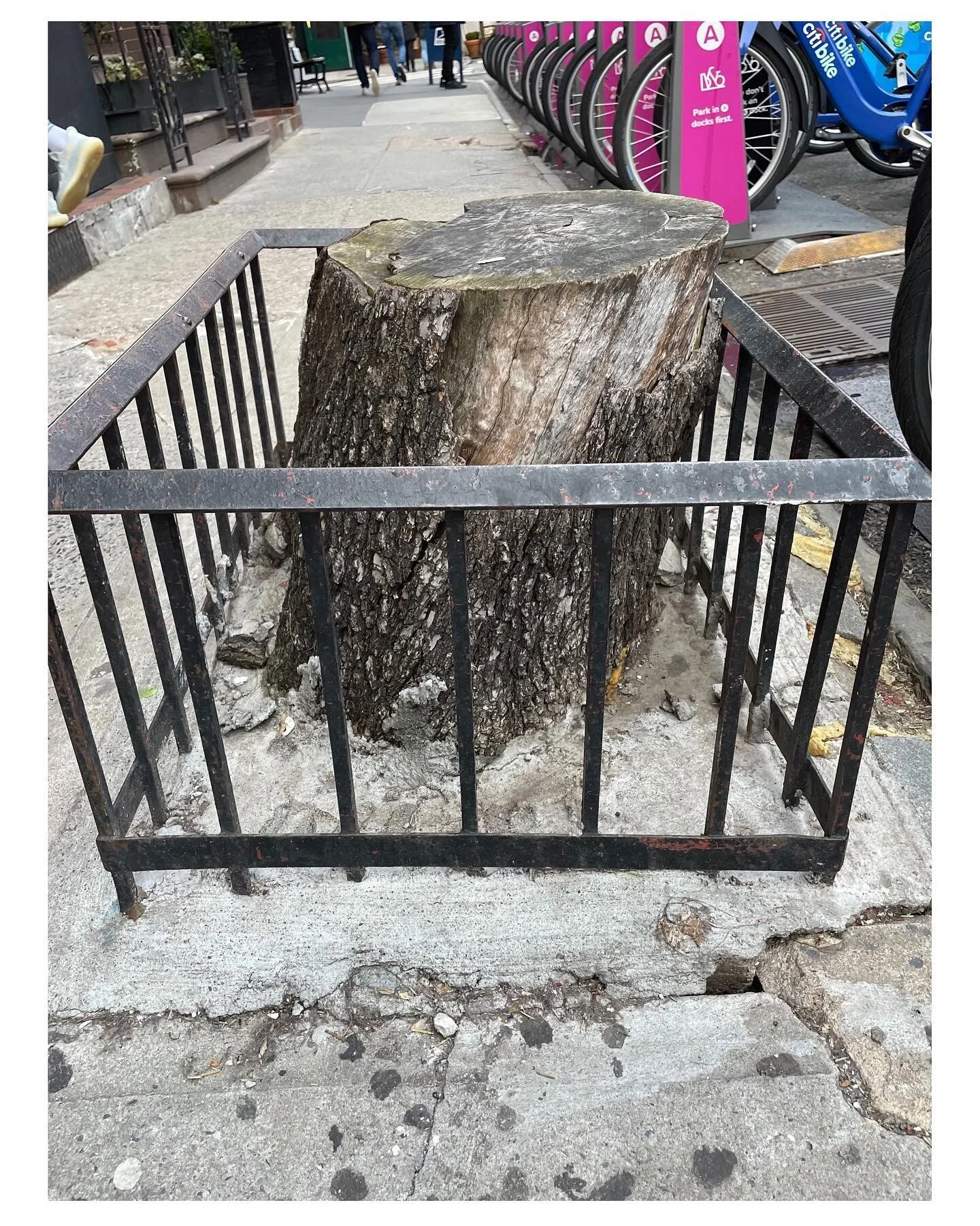 Original Work — Emma Wiseman