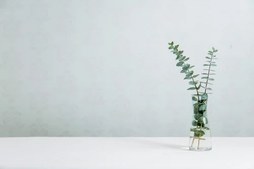 Talk Therapy with Sarah Larimore