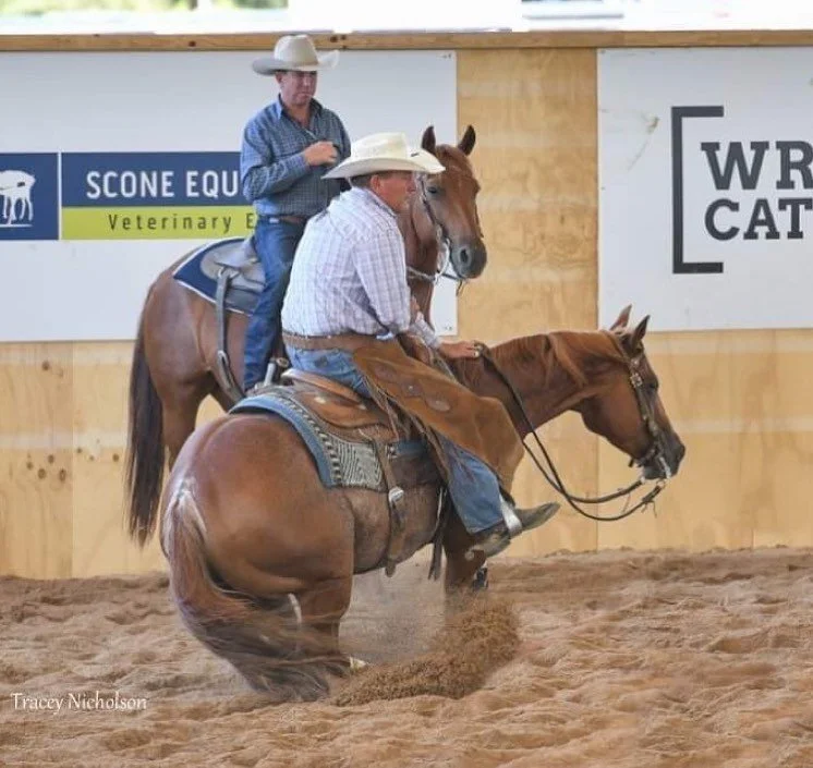 Moondyne Cutting Horses, Moondyne, Moondyne Cutting Horses home of ...