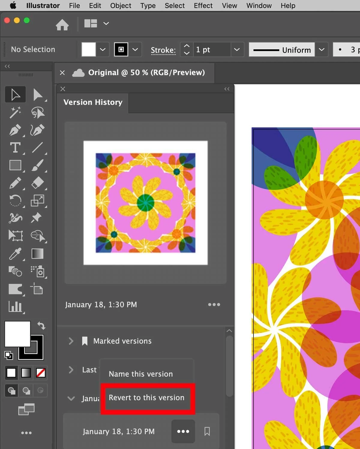 Version History for Illustrator Cloud Documents — Laura Coyle Creative