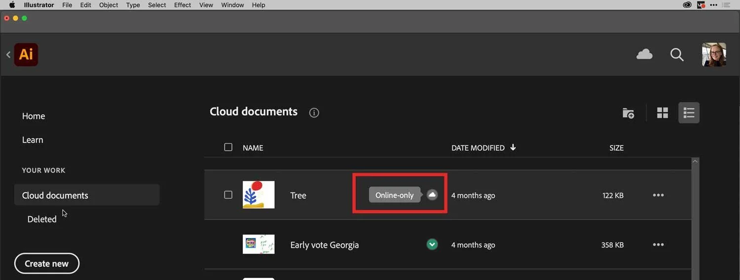 Version History for Illustrator Cloud Documents — Laura Coyle Creative