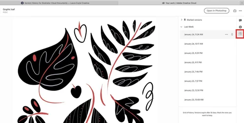 Version History for Illustrator Cloud Documents — Laura Coyle Creative