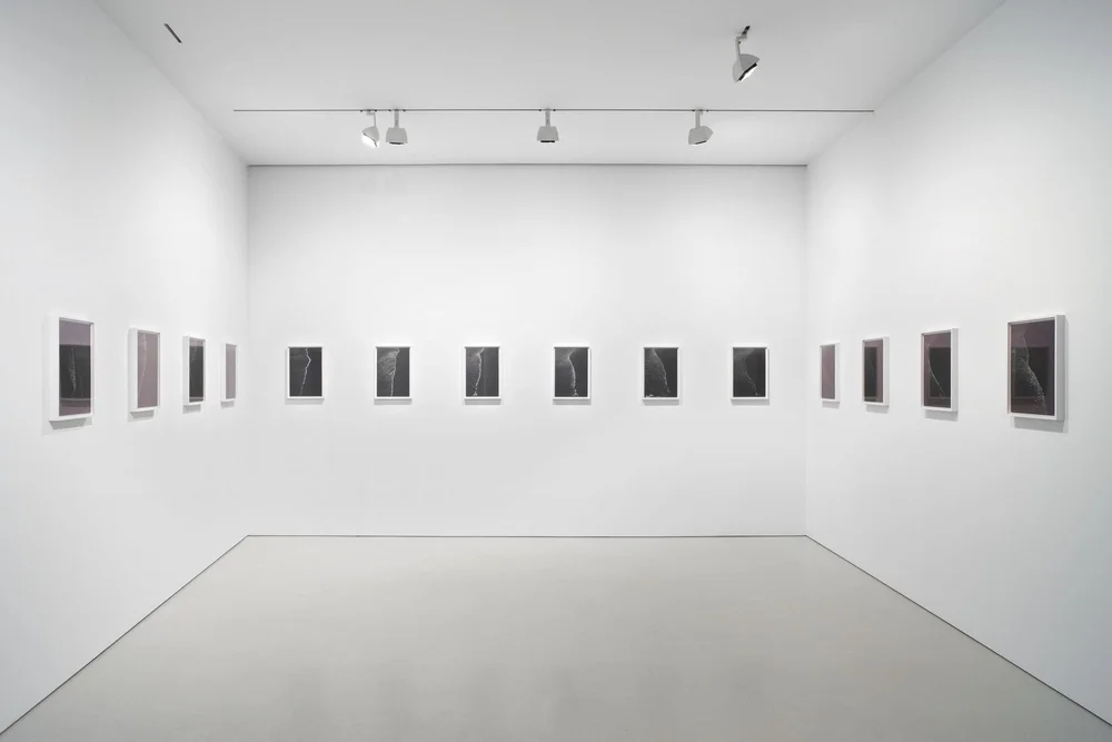 Richard Forster — The FLAG Art Foundation