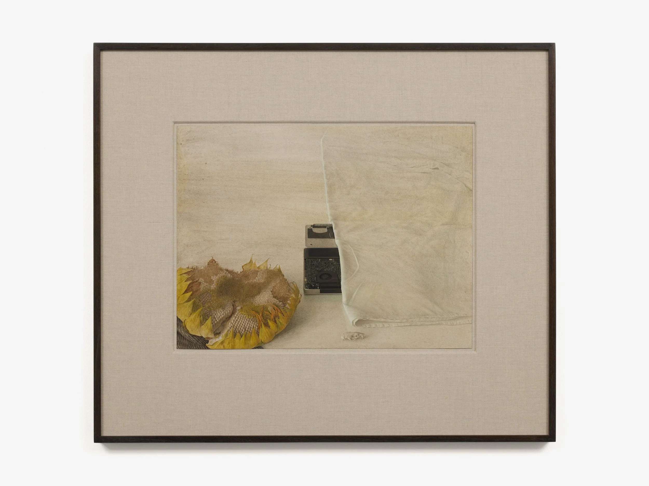 Graham Little — The FLAG Art Foundation