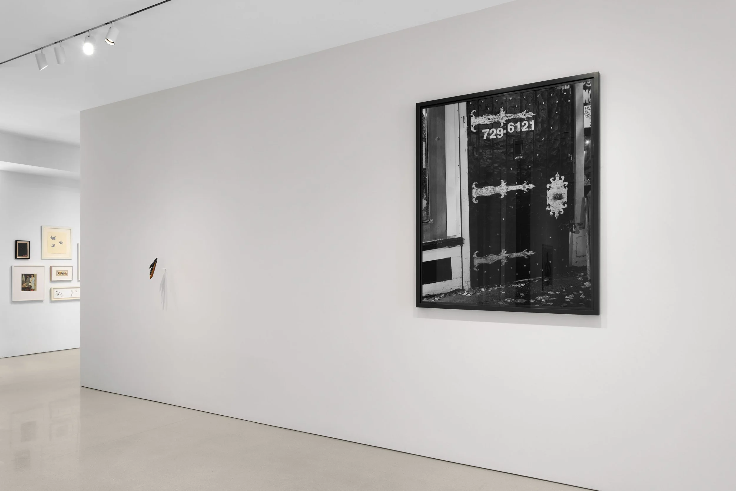 Among Friends: Three Views of a Collection — The FLAG Art Foundation