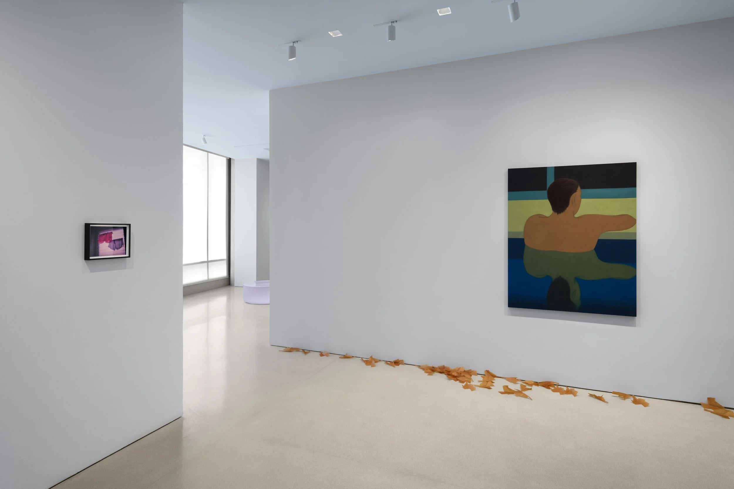 The Swimmer — The FLAG Art Foundation