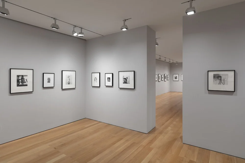 Dan Fischer: Drawings, 1999-2021 — The FLAG Art Foundation