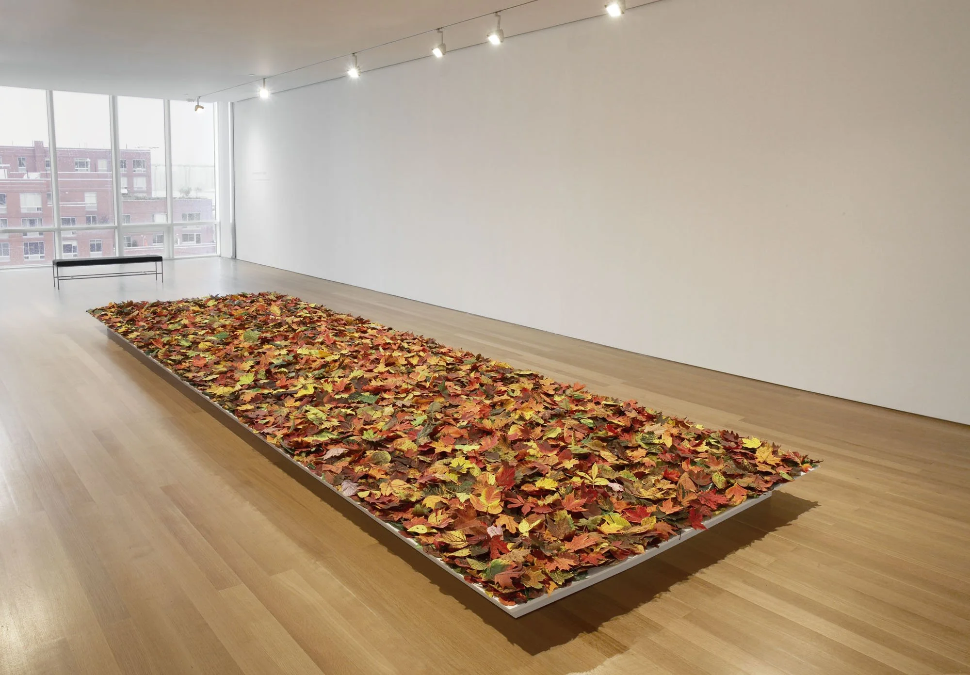 Jane Hammond: Fallen — The FLAG Art Foundation