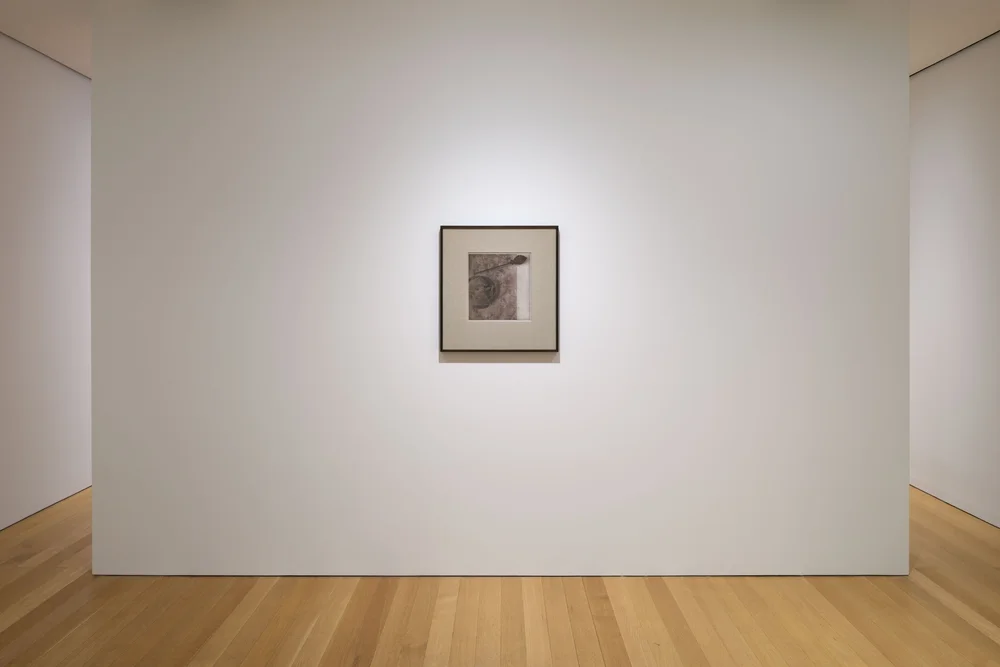 Graham Little — The FLAG Art Foundation