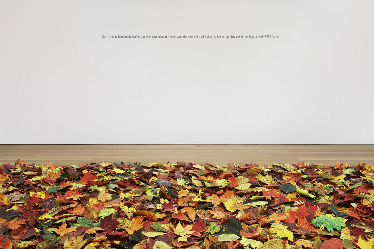 Jane Hammond: Fallen — The FLAG Art Foundation