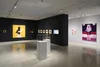 Strike Fast, Dance Lightly — The FLAG Art Foundation