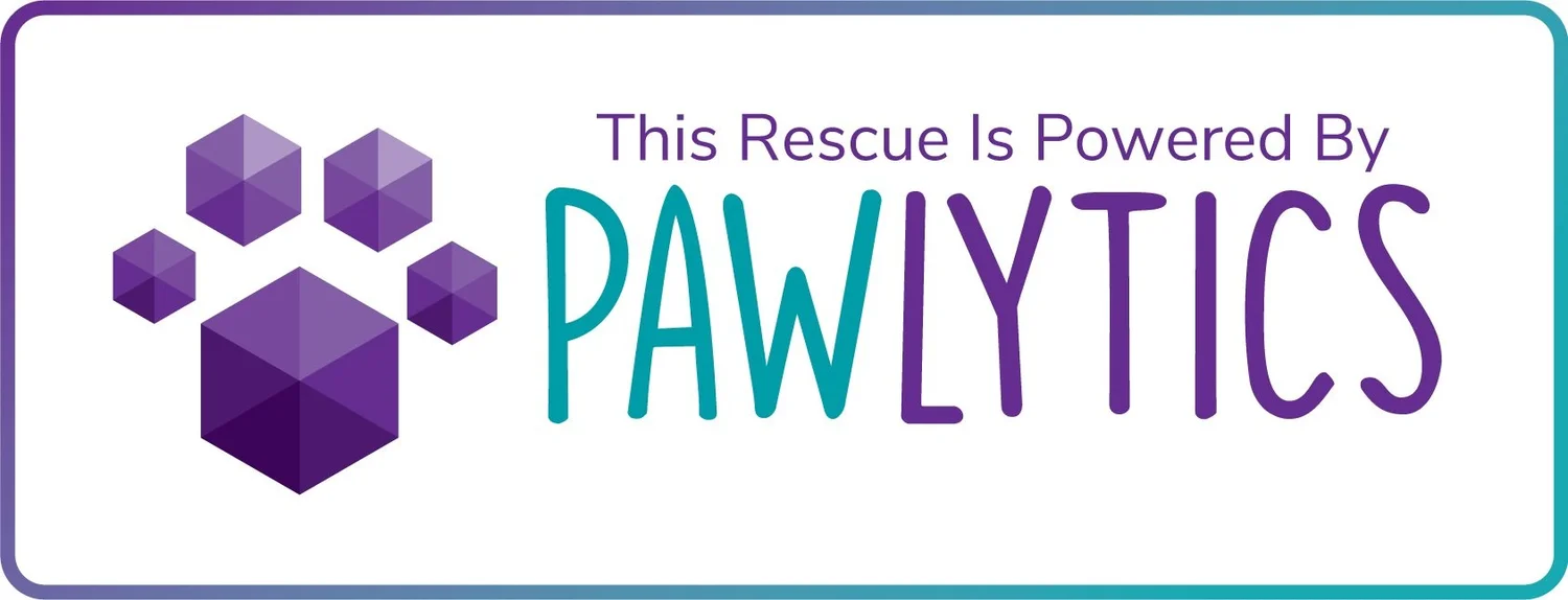 Adoptable Dogs — Southern Tails for Precious Paws