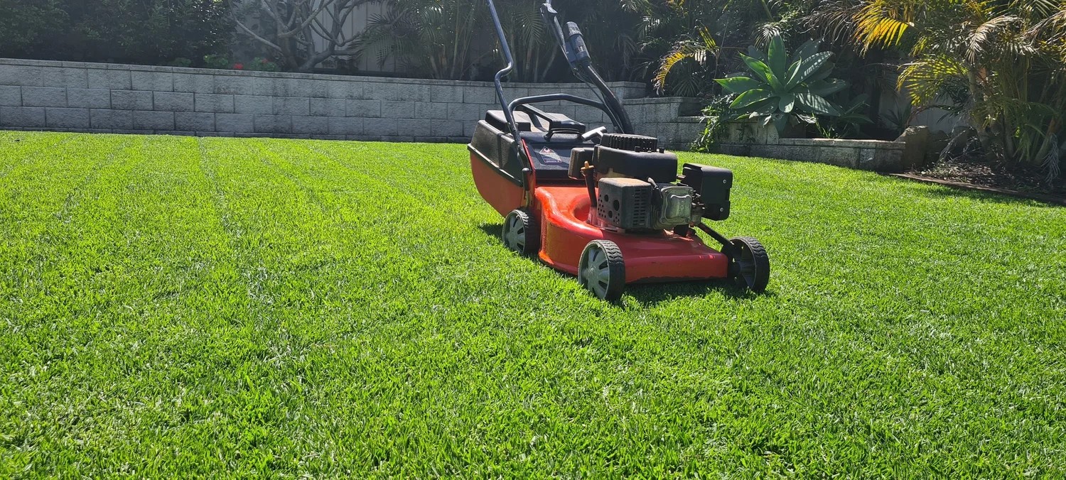 Fresh Cut Lawns Shellharbour