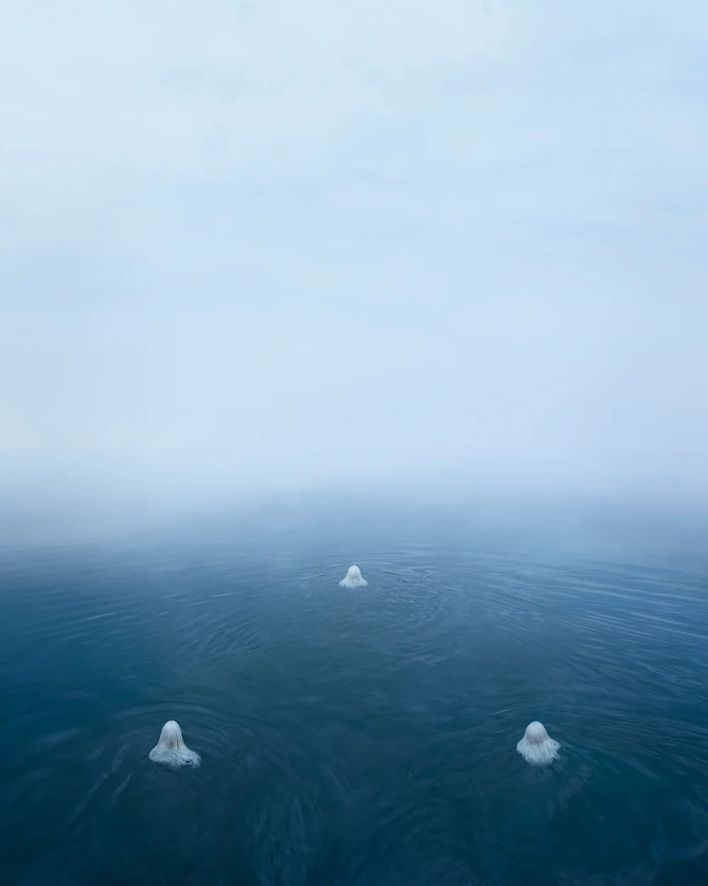 Into the Light — GABRIEL ISAK