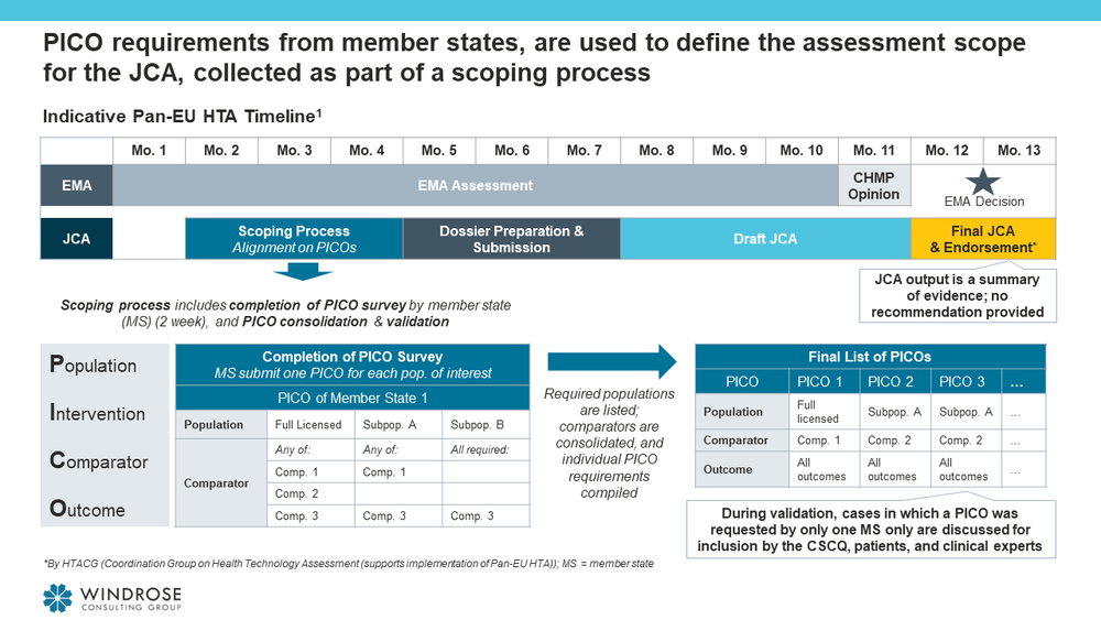 EU HTA: Can a one-size-fits all approach really work, and how can ...