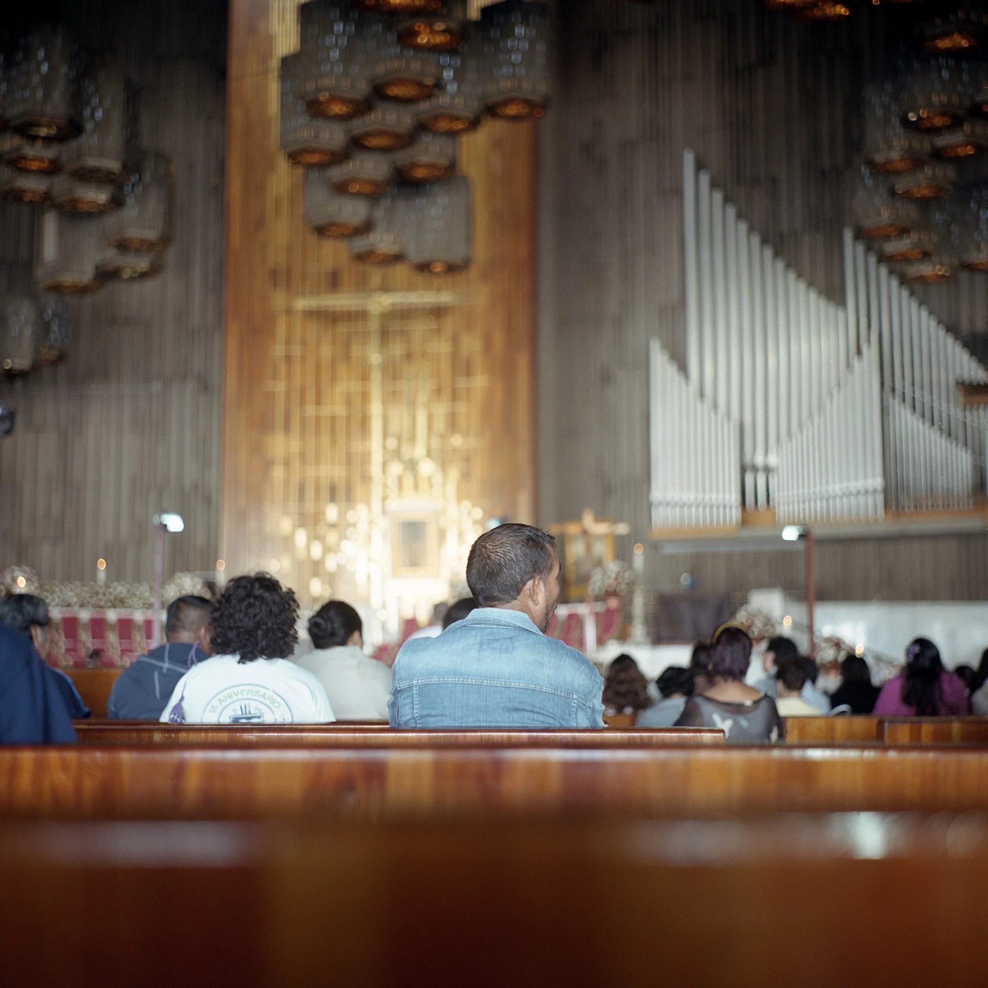 méxico — paula calvo