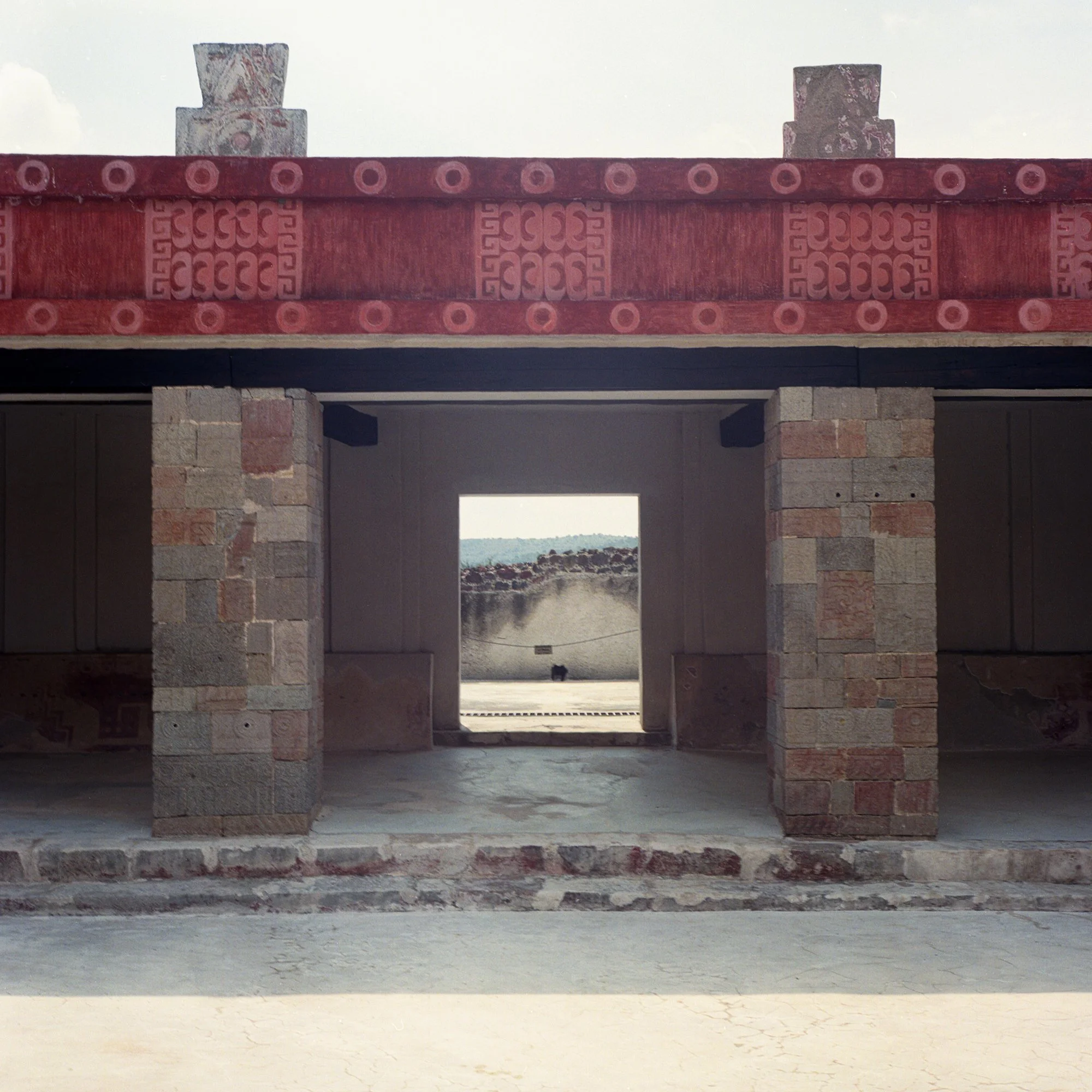 méxico — paula calvo