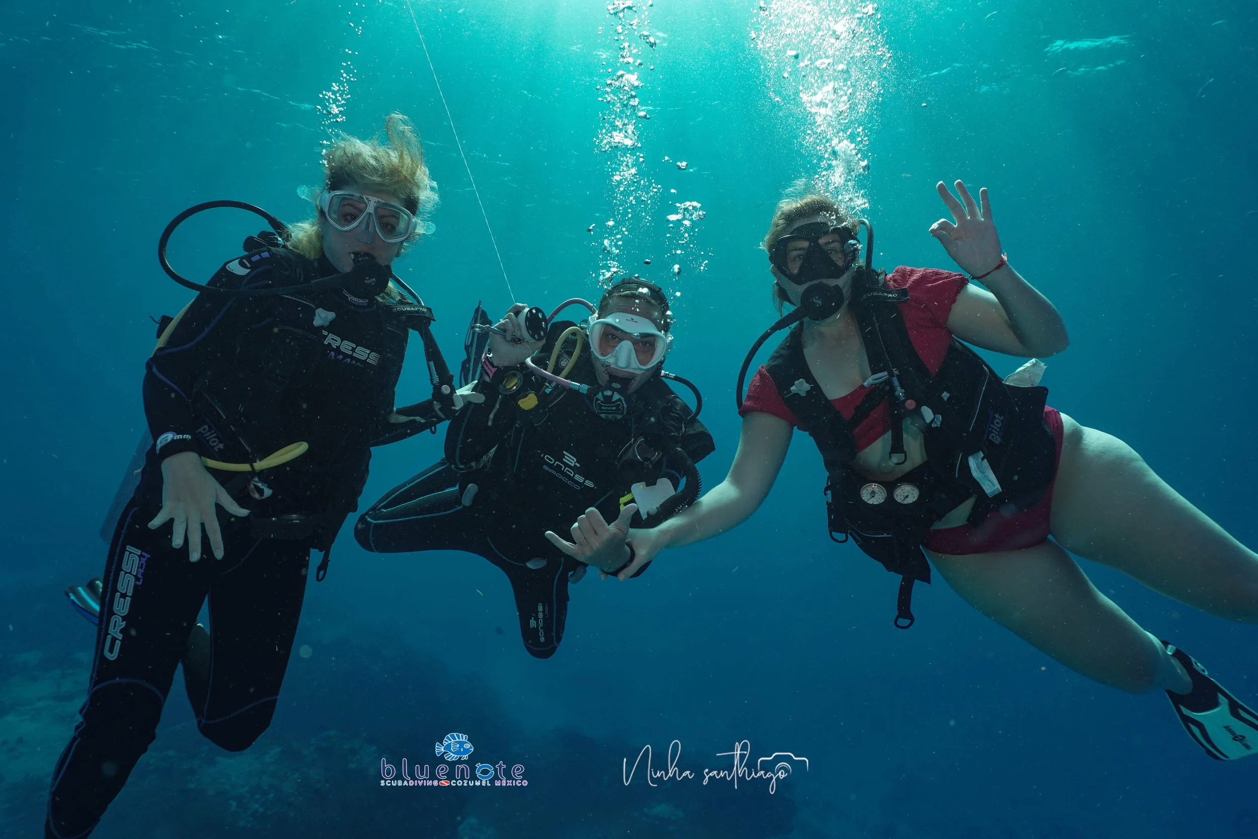 Cozumel Diving Photos — Blue Note Scuba | Best Dive Shop in Cozumel ...