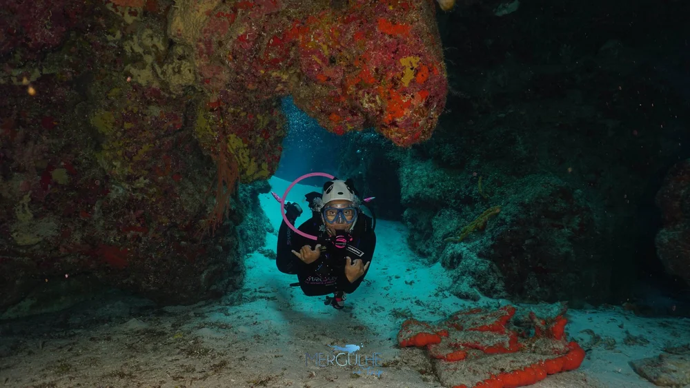 Palancar Reef Cozumel — Blue Note Scuba | Best Dive Shop in Cozumel ...