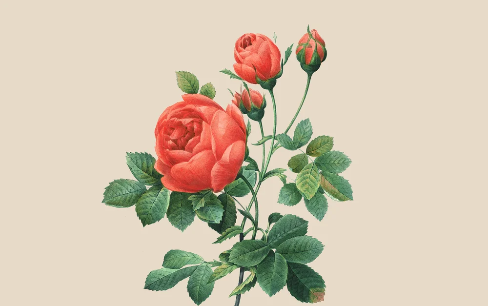 Every Time We Say Goodbye — Natalie Jenner