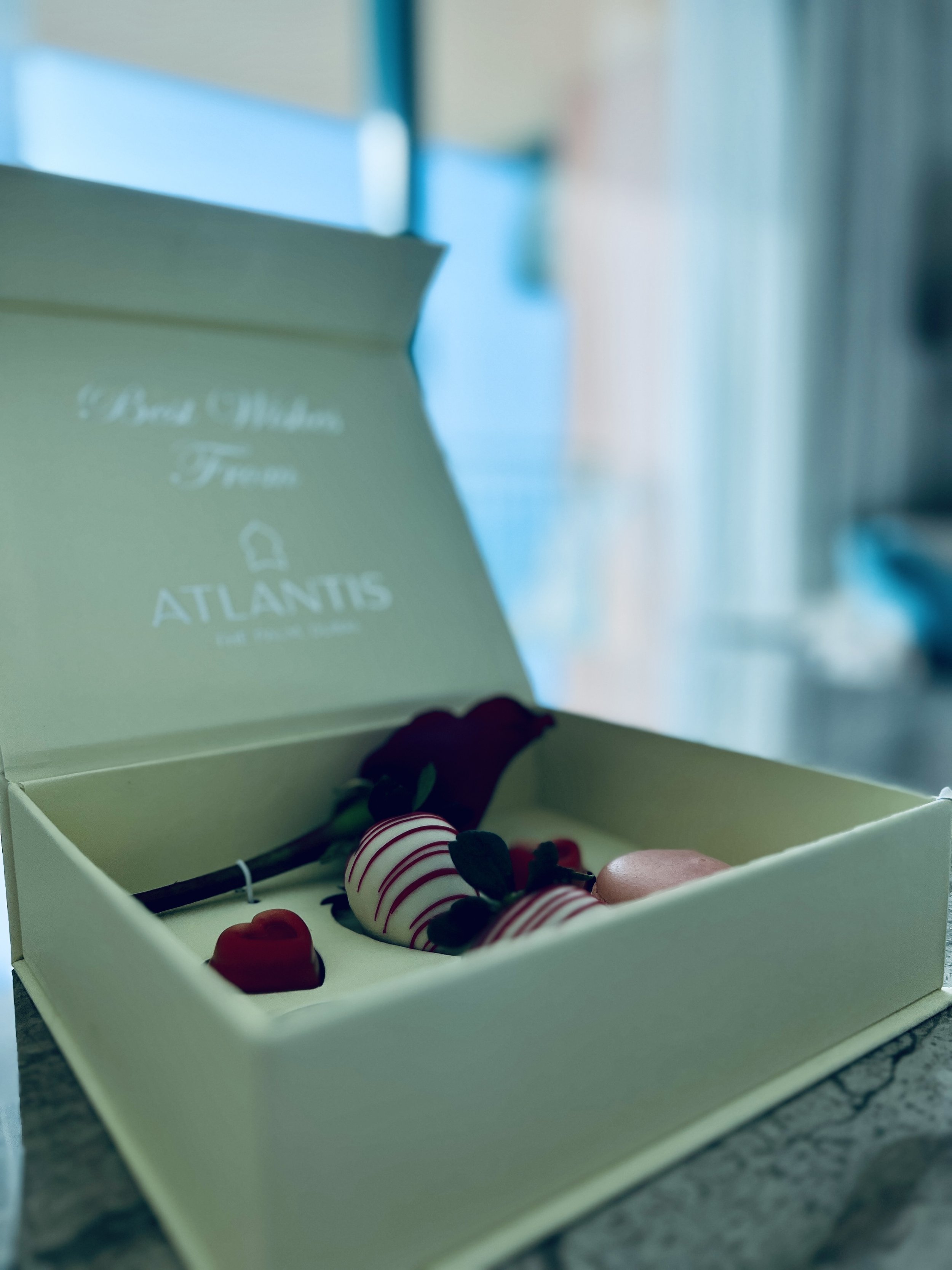 A review of my stay at Atlantis the Palm 5*, Dubai - Synthia Jacob ...