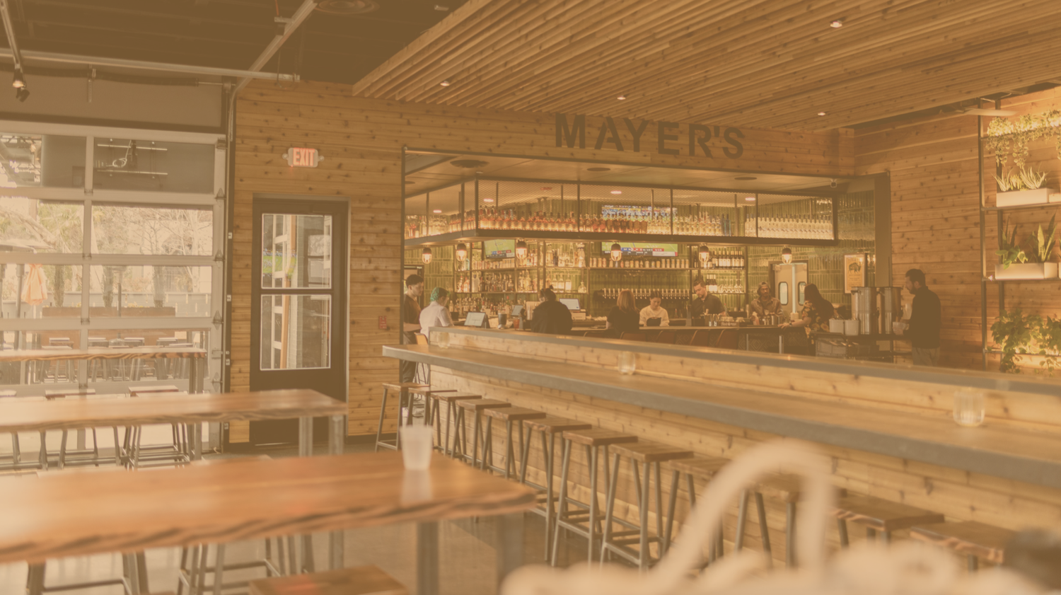 MAYER'S GARDEN