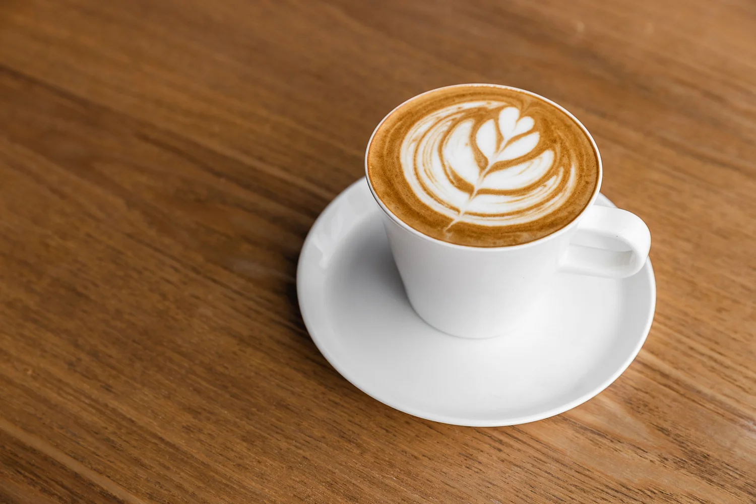 Catch 21 Eatery - Takapuna