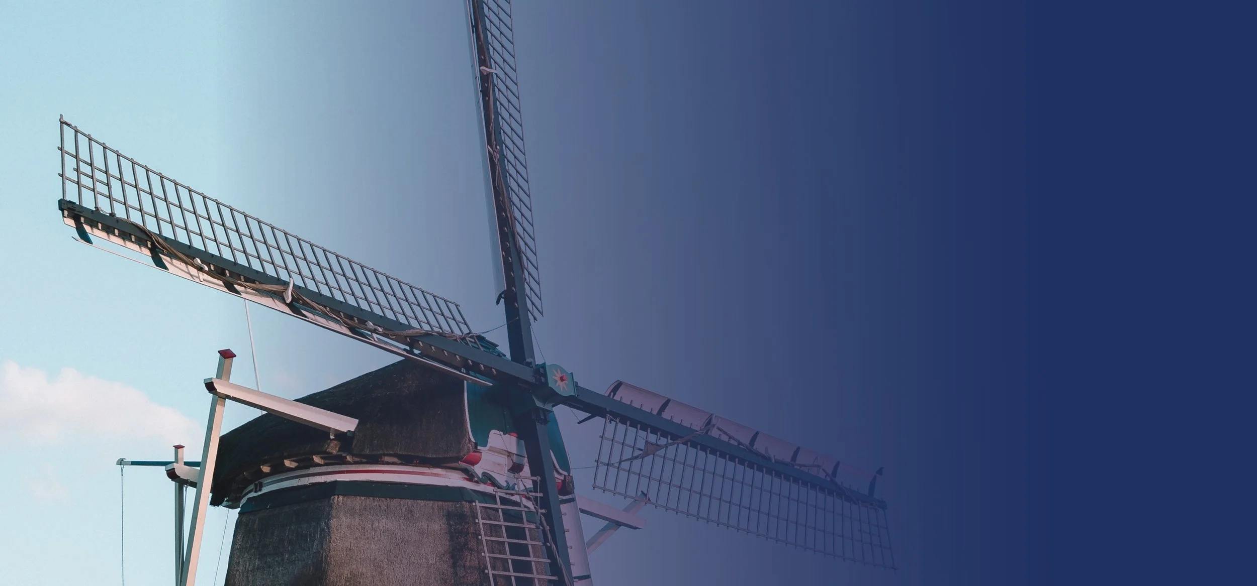 Windmills Training Program — Milt Wright & Associates, Inc.