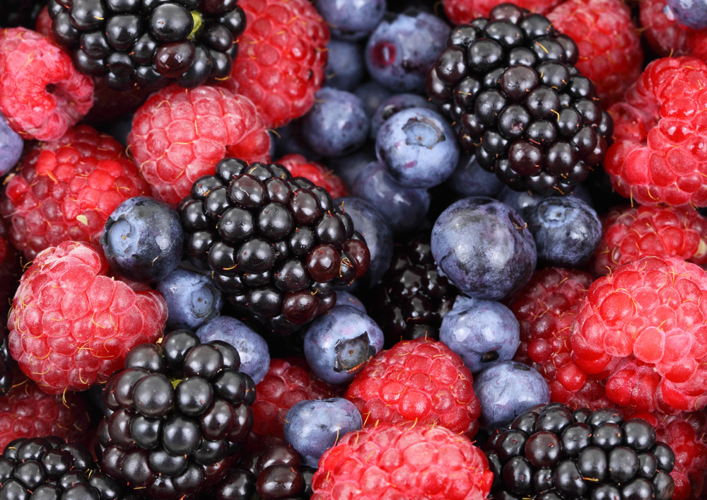 Berries — Fielderberry Farm