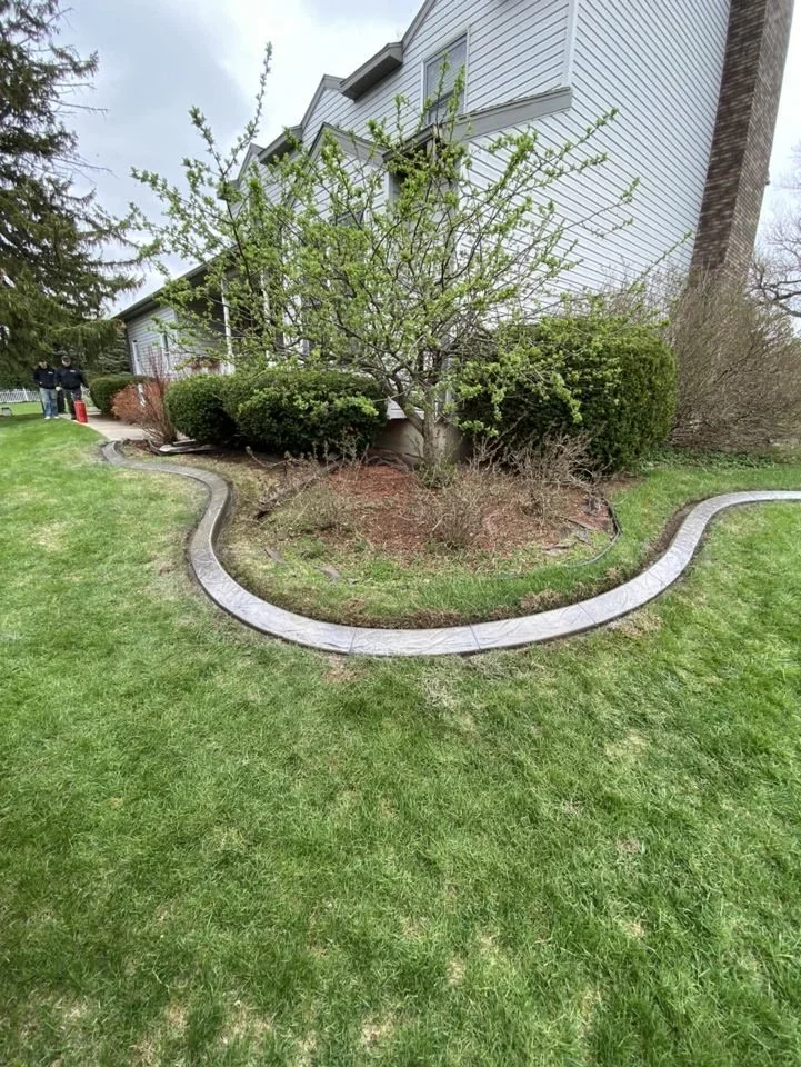 Blog 2 — AE Landscape Borders