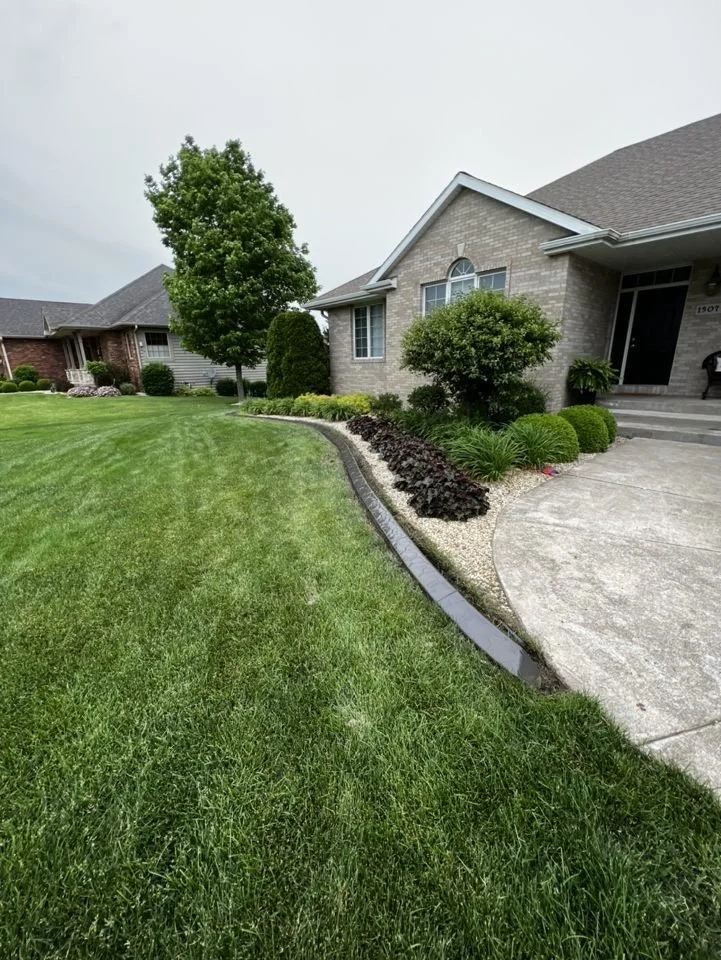 Blog 2 — AE Landscape Borders