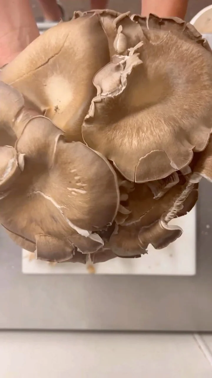 Moku Roots - Best Vegetarian & Vegan Restaurant on Maui