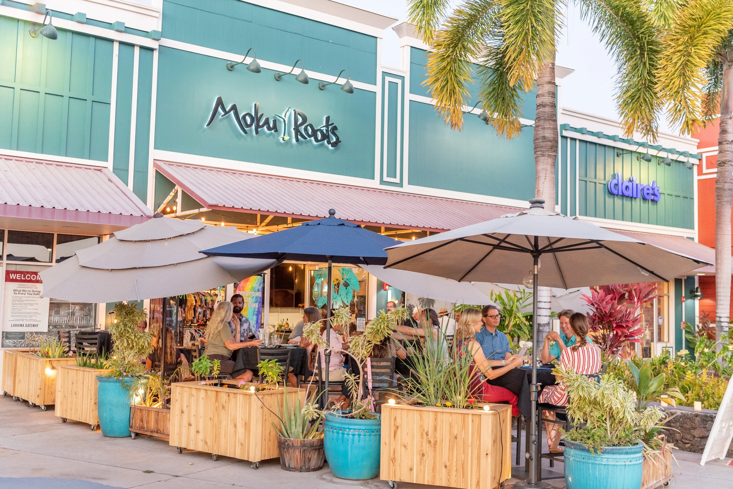 Contact Us - Moku Roots — Moku Roots