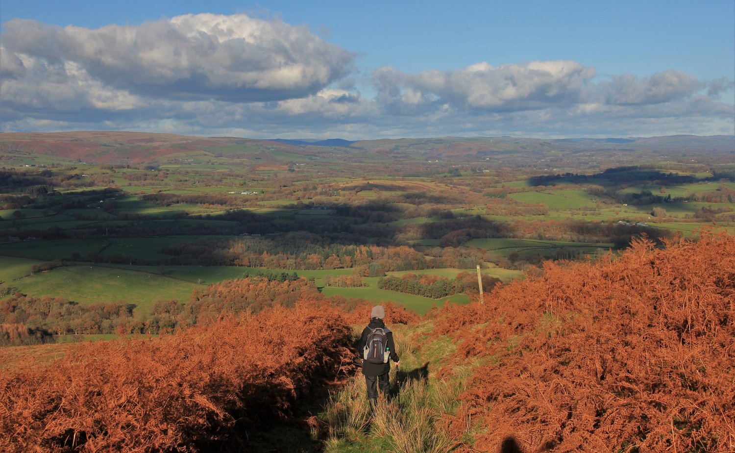 The Epynt Way Association