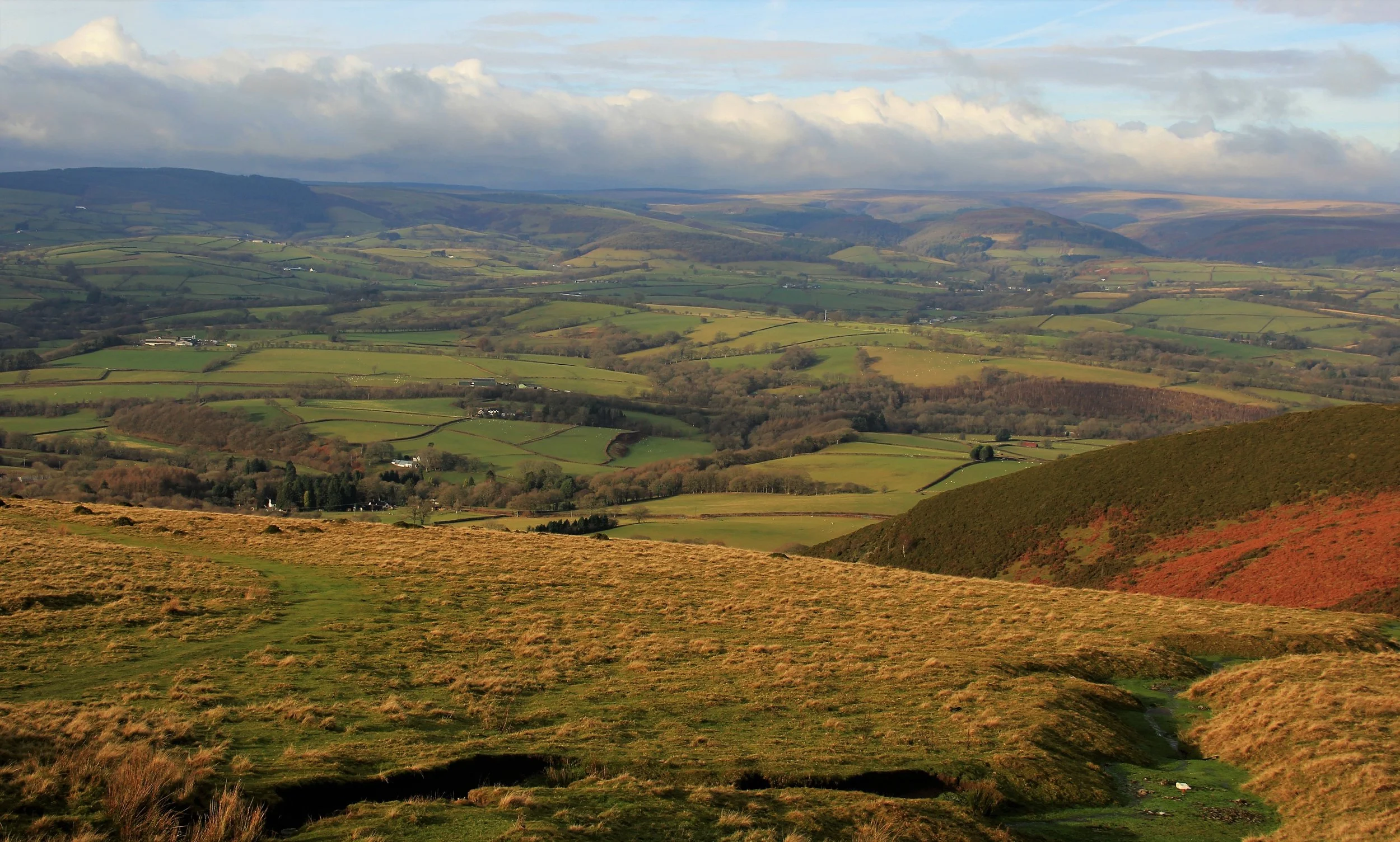 Walking — The Epynt Way Association
