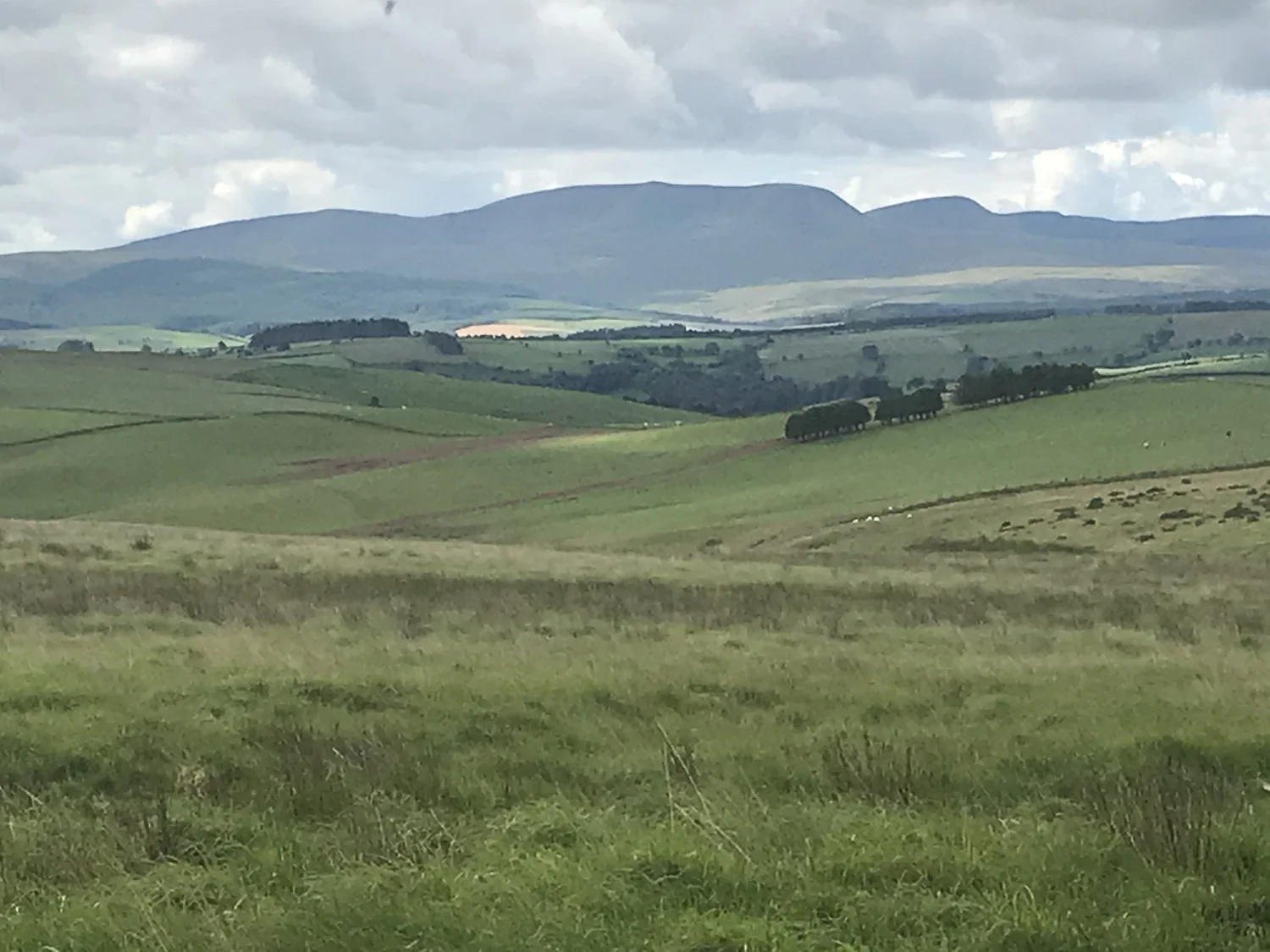 General 2 — The Epynt Way Association