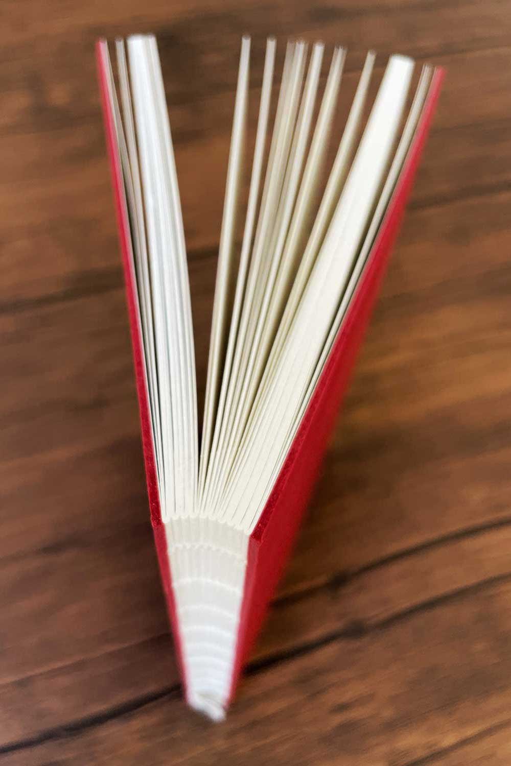 Objects of Desire: Pith Notebooks